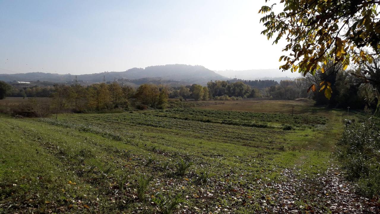Terreno agricolo in vendita a Cepagatti