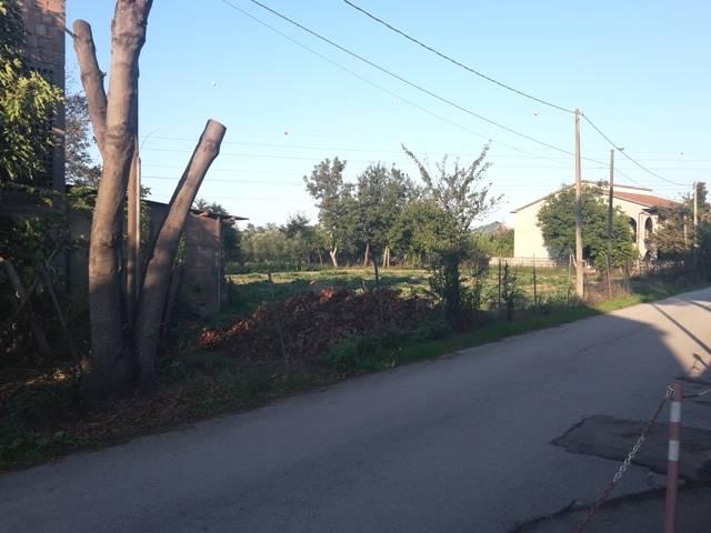 Terreno edificabile in vendita a Cepagatti