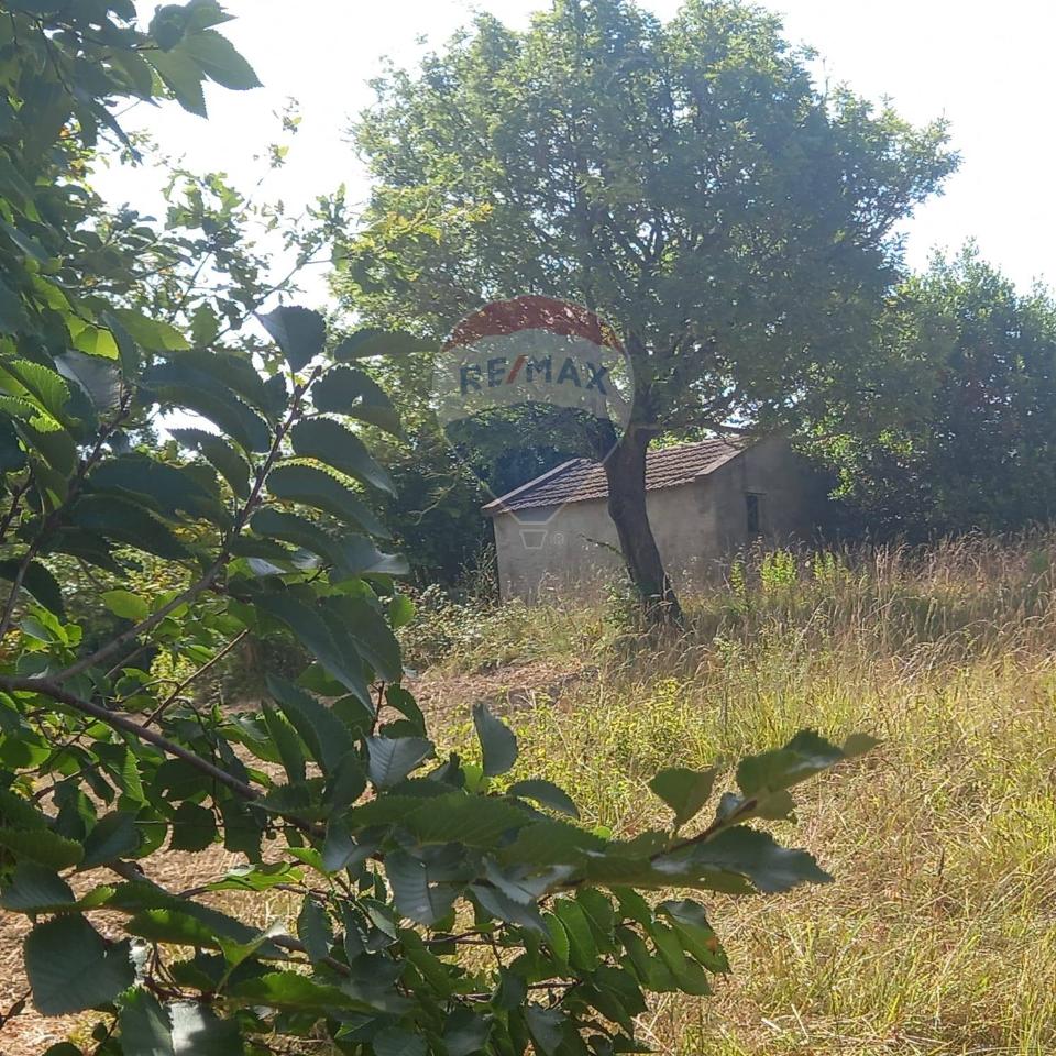 Terreno agricolo in vendita a Minturno