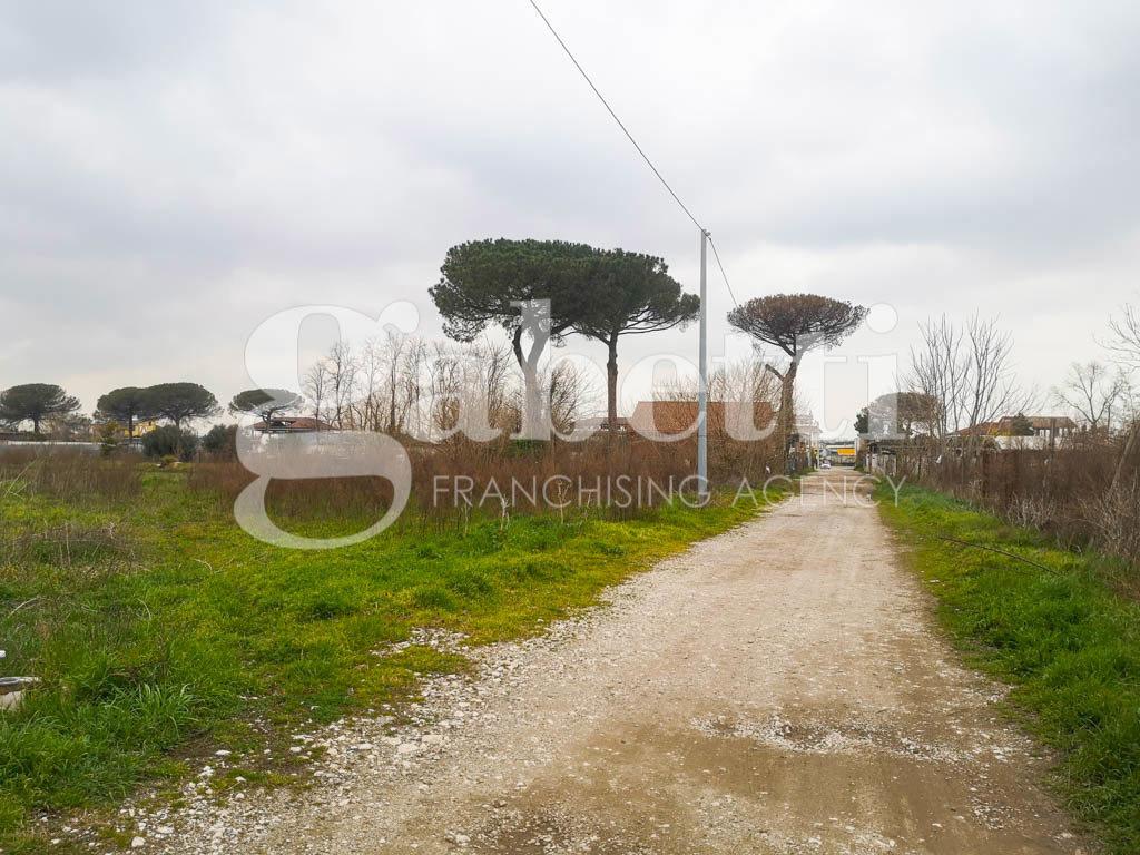Terreno agricolo in vendita a Trentola Ducenta