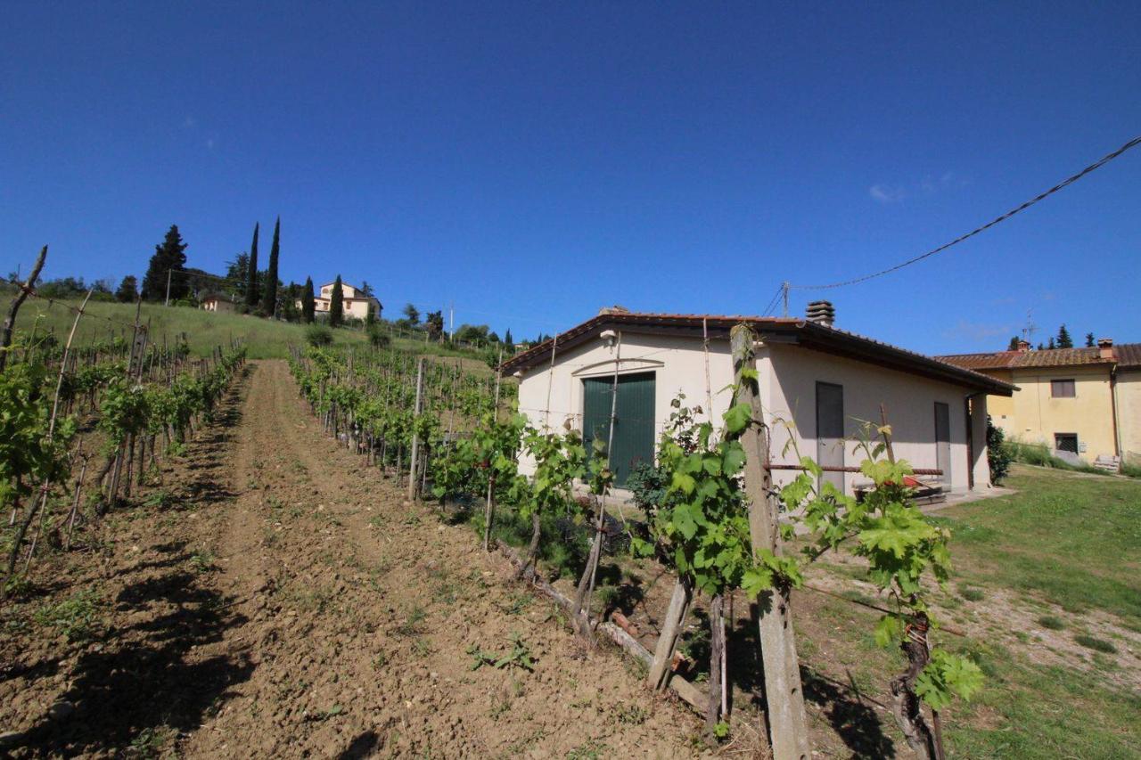 Terreno agricolo in vendita a Montespertoli