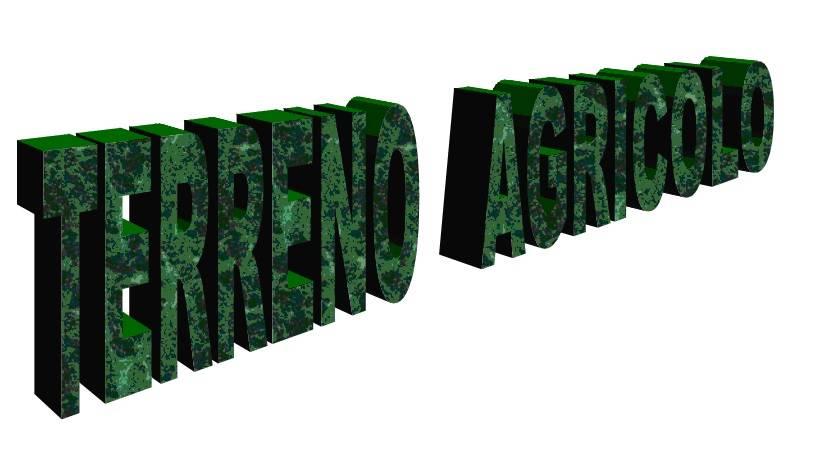 Terreno agricolo in vendita a Montespertoli