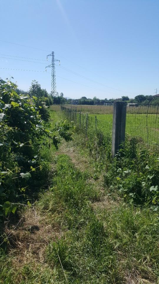 Terreno agricolo in vendita a Massa