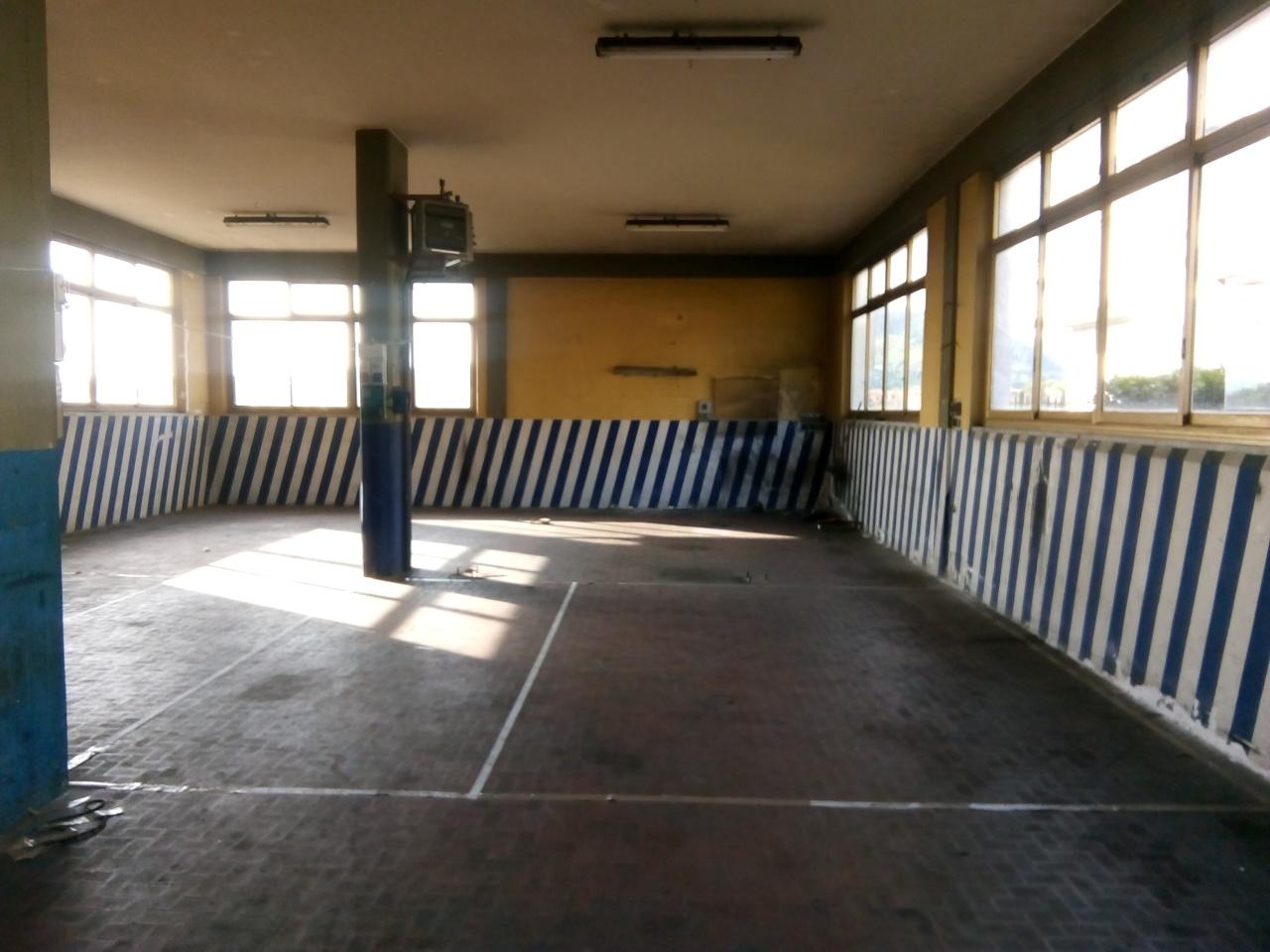 Capannone in affitto a Massa