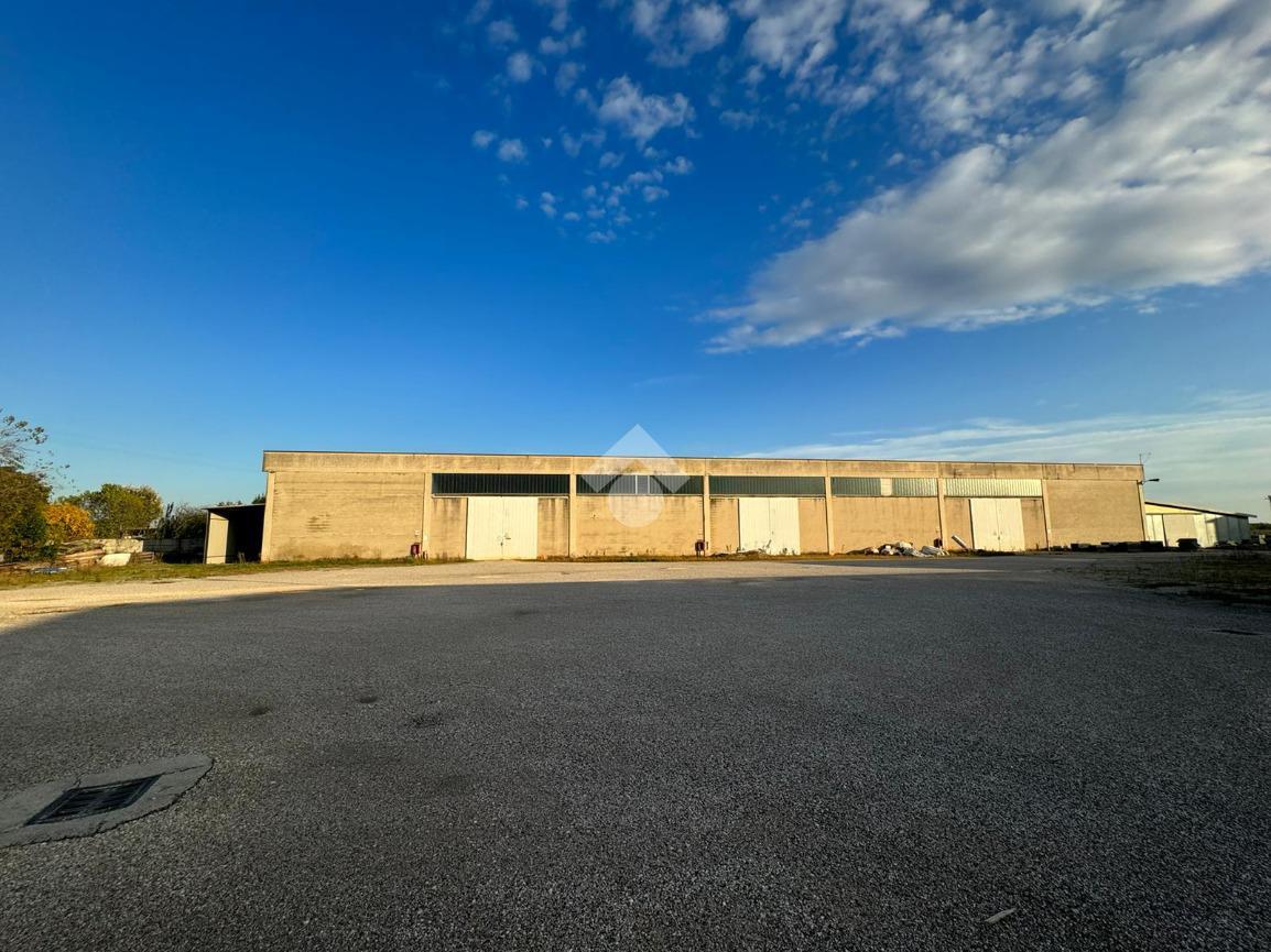 Capannone in affitto a Casalserugo