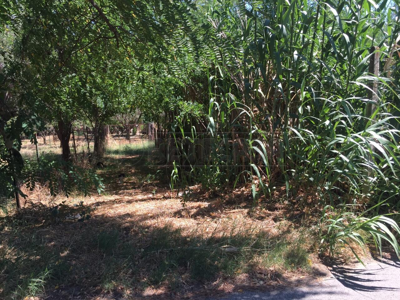 Terreno agricolo in vendita a Catanzaro