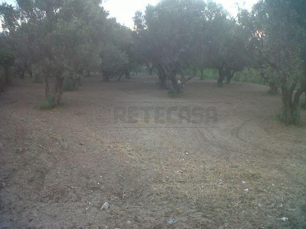 Terreno edificabile in vendita a Simeri Crichi