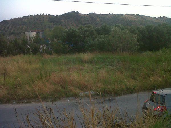 Terreno agricolo in vendita a Catanzaro