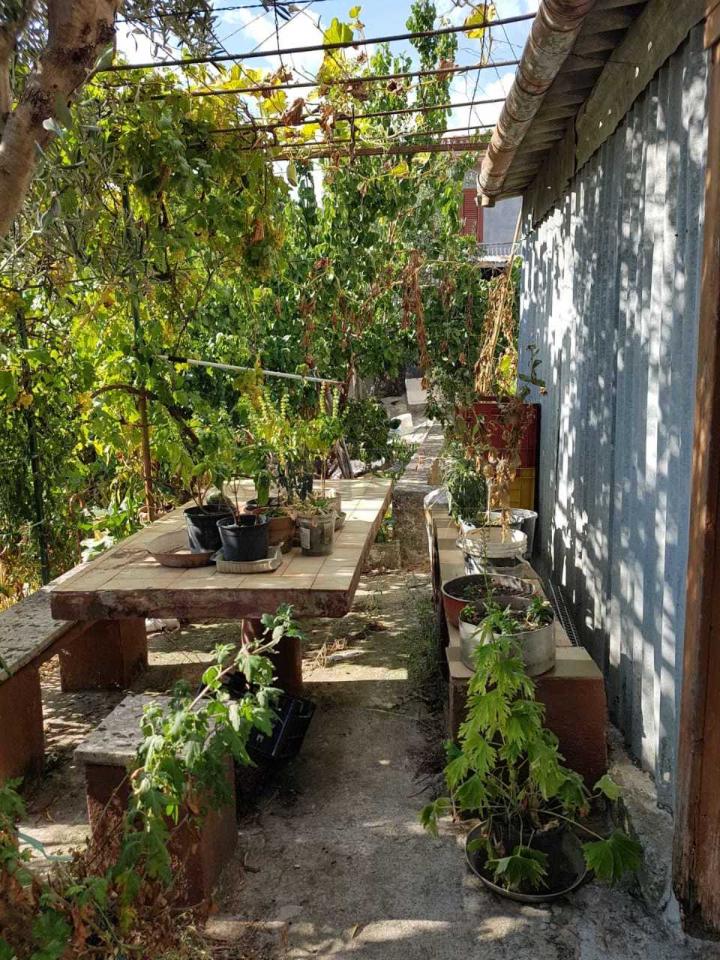 Terreno edificabile in vendita a Settingiano