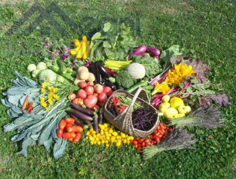 Terreno agricolo in vendita a Opera