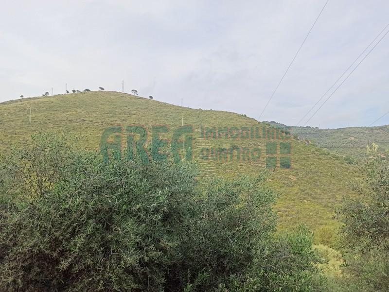 Terreno agricolo in vendita a Imperia