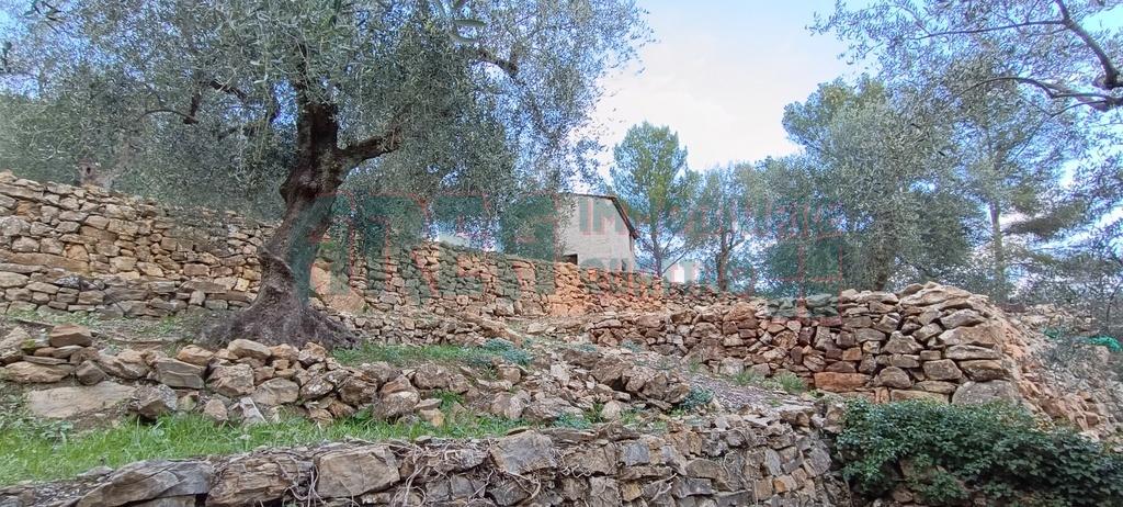 Terreno agricolo in vendita a San Bartolomeo Al Mare