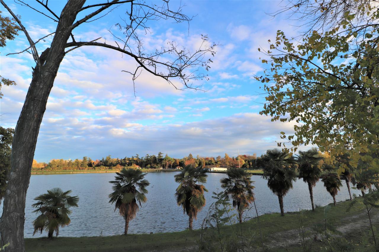 Villa in vendita a Treviso