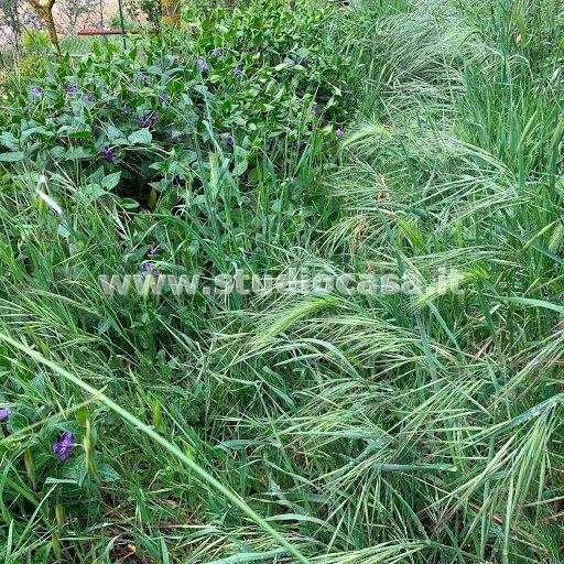 Terreno agricolo in vendita a Endine Gaiano