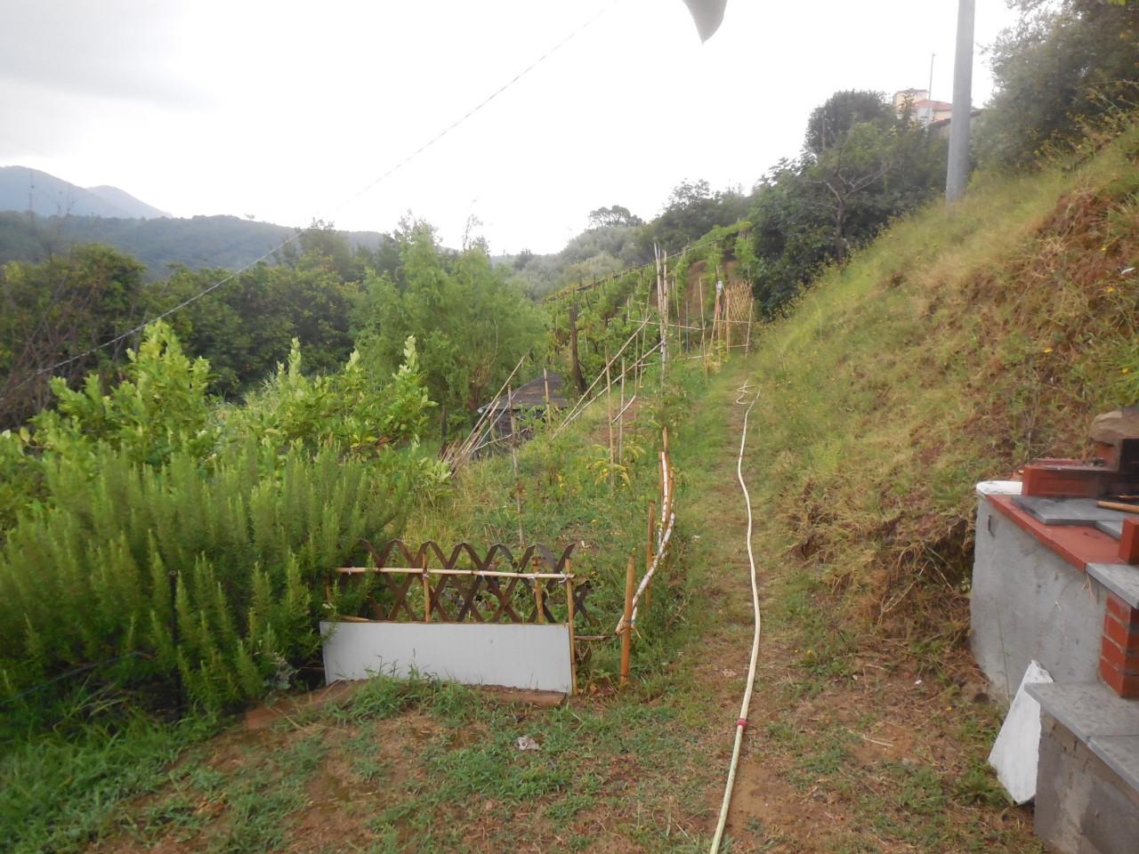 Terreno agricolo in vendita a Castelnuovo Magra