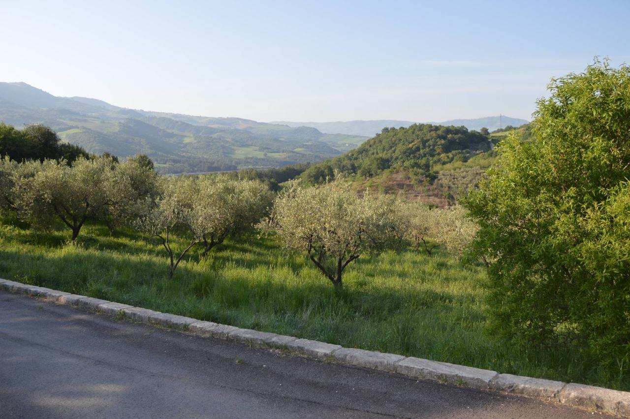 Terreno agricolo in vendita a Guardialfiera