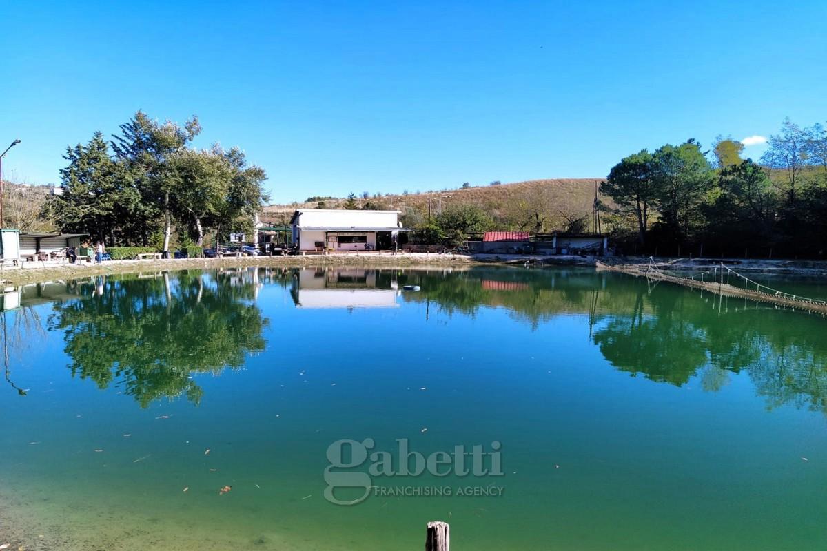 Esercizio commerciale in vendita a Busso