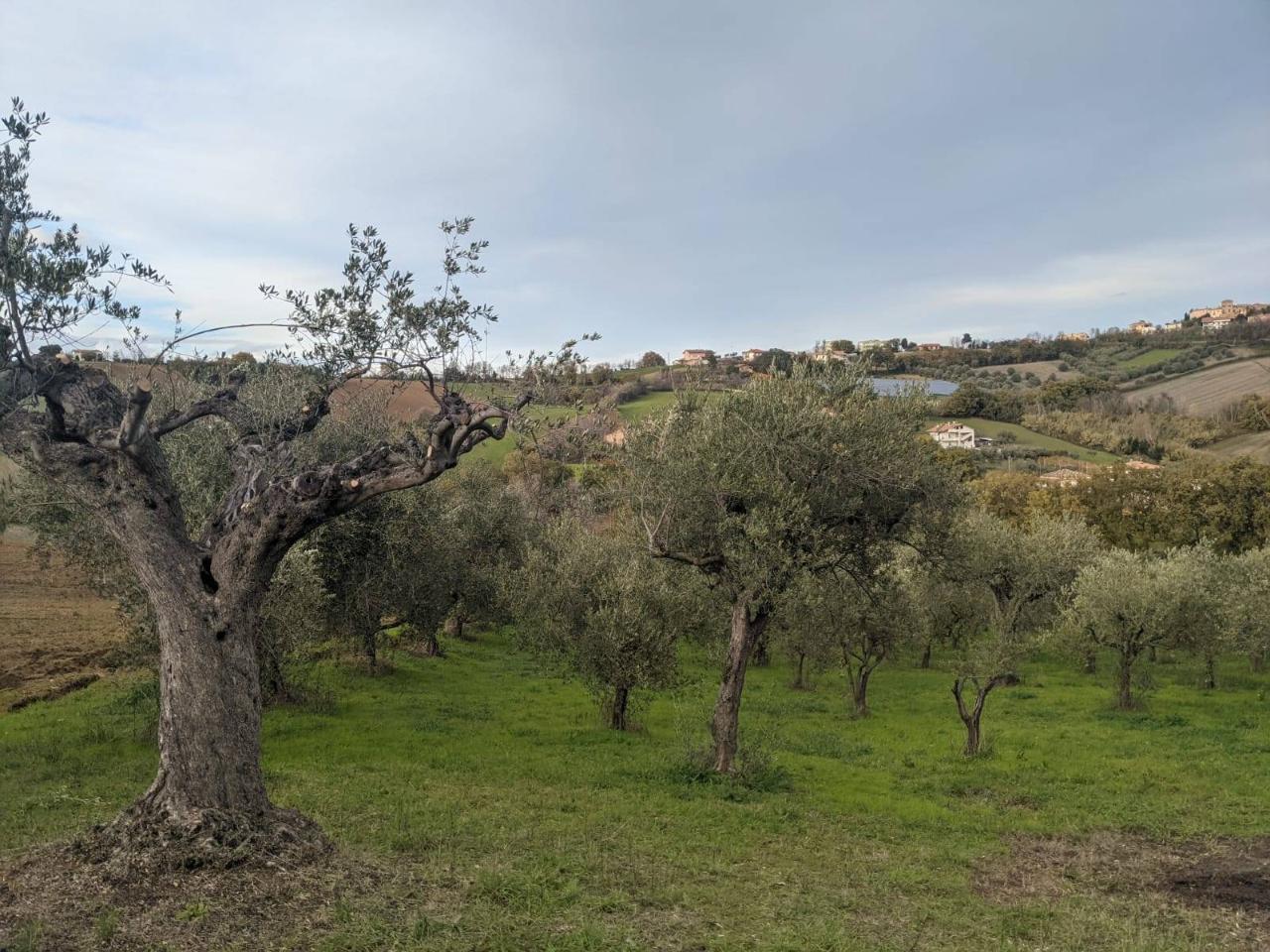 Terreno edificabile in vendita a Mosciano Sant'Angelo