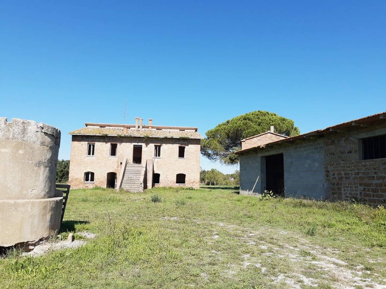 Azienda agricola in vendita a Castiglione Del Lago