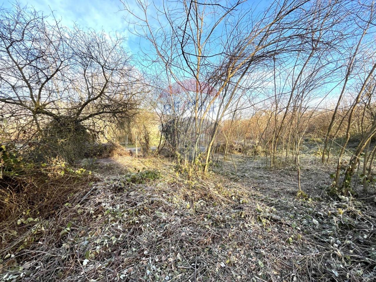 Terreno agricolo in vendita a Pederobba