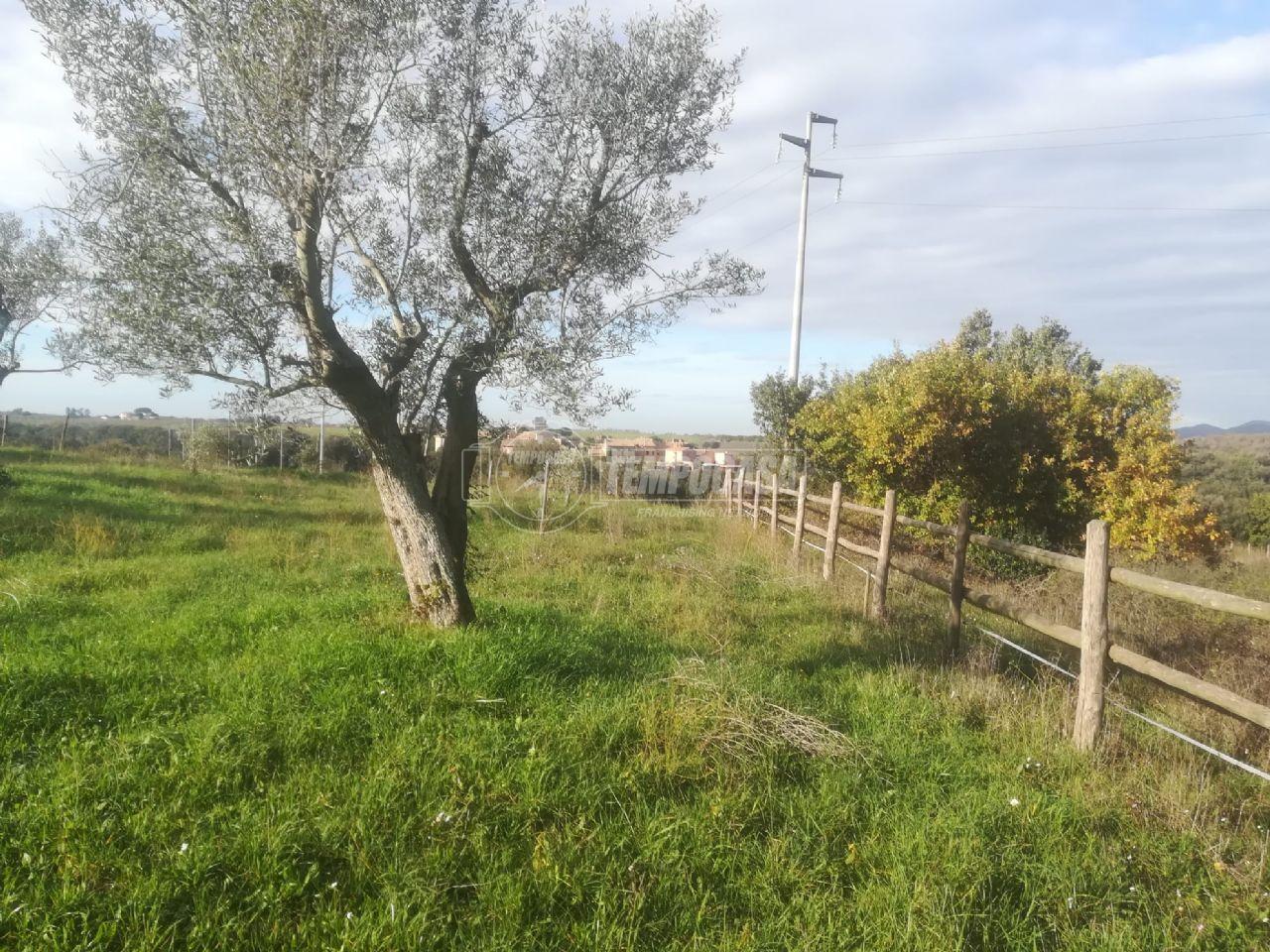 Terreno agricolo in vendita a Cerveteri