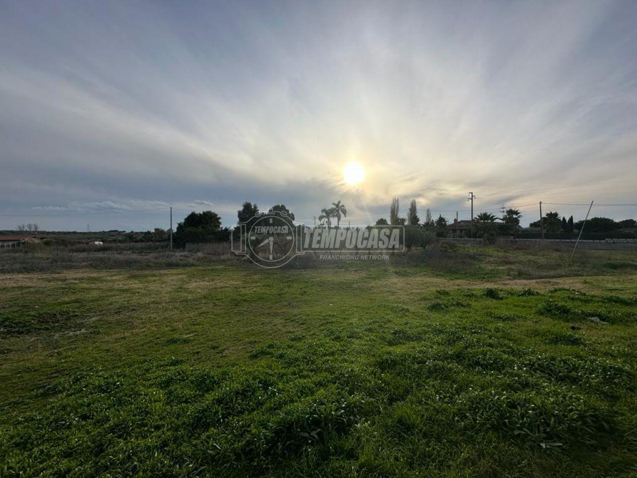 Terreno agricolo in vendita a Cerveteri