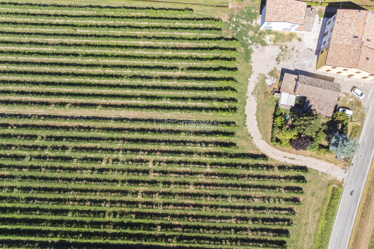 Terreno agricolo in vendita a Novi Di Modena