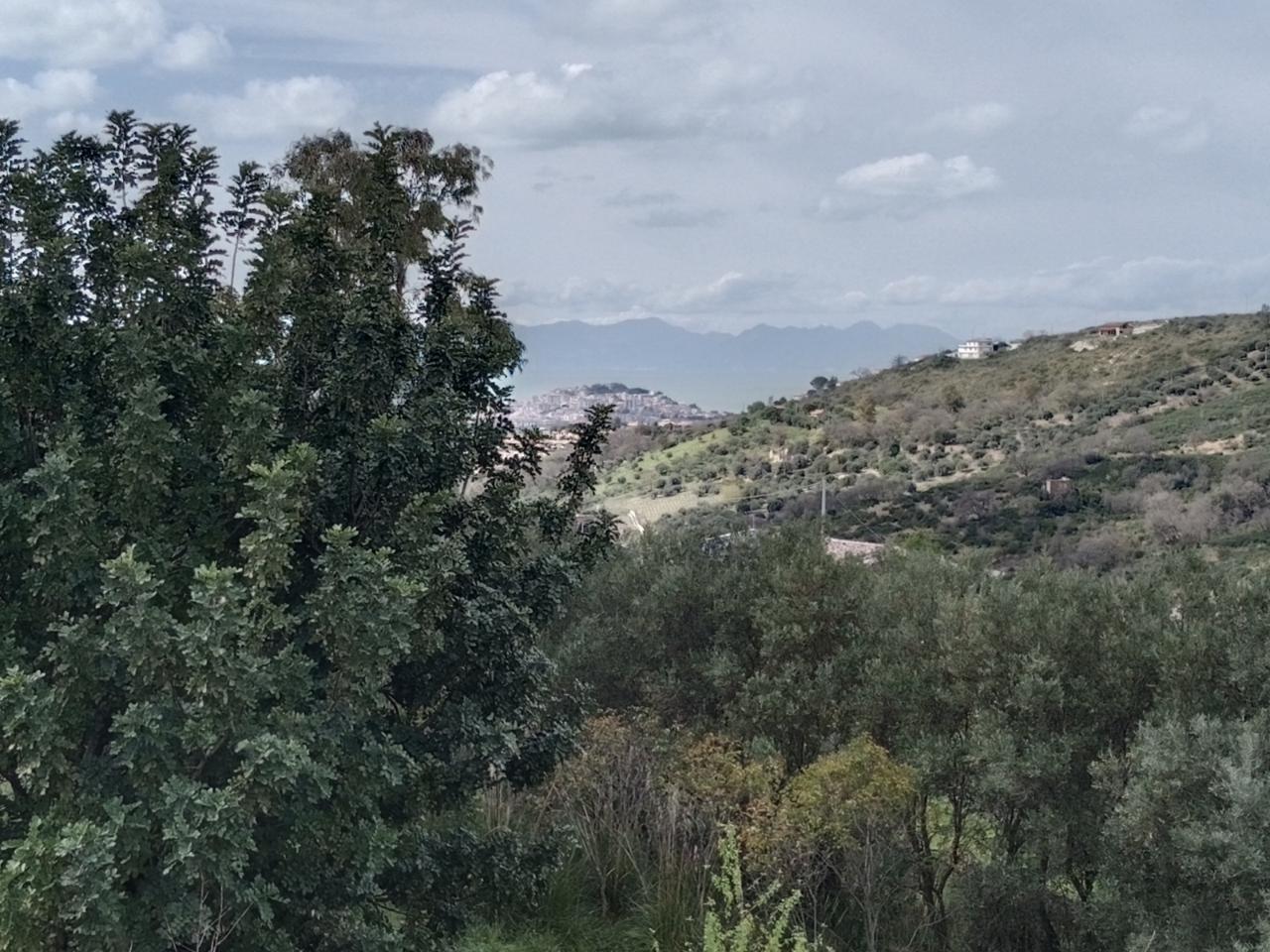 Rustico in vendita a Laureana Cilento