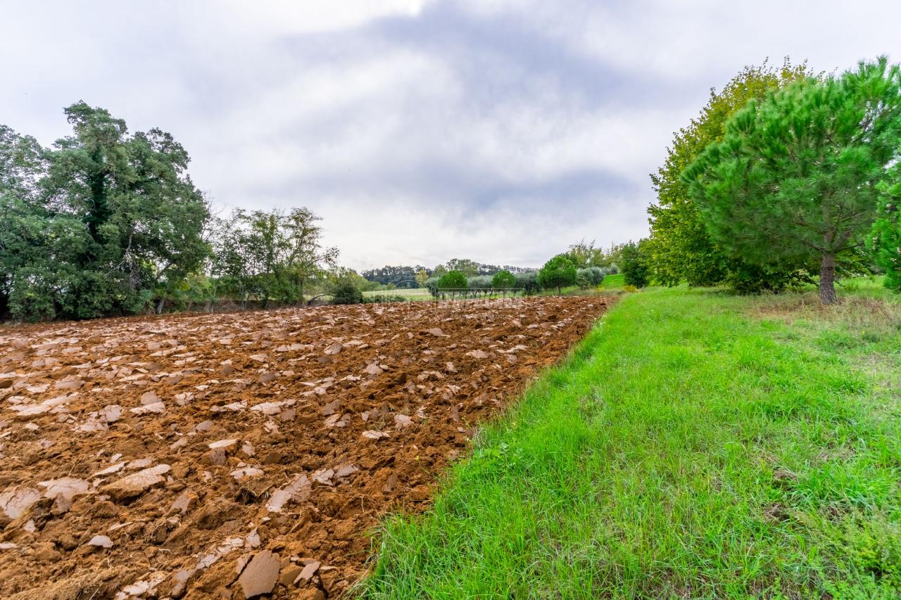 Terreno agricolo, Civitanova Marche Foto-18
