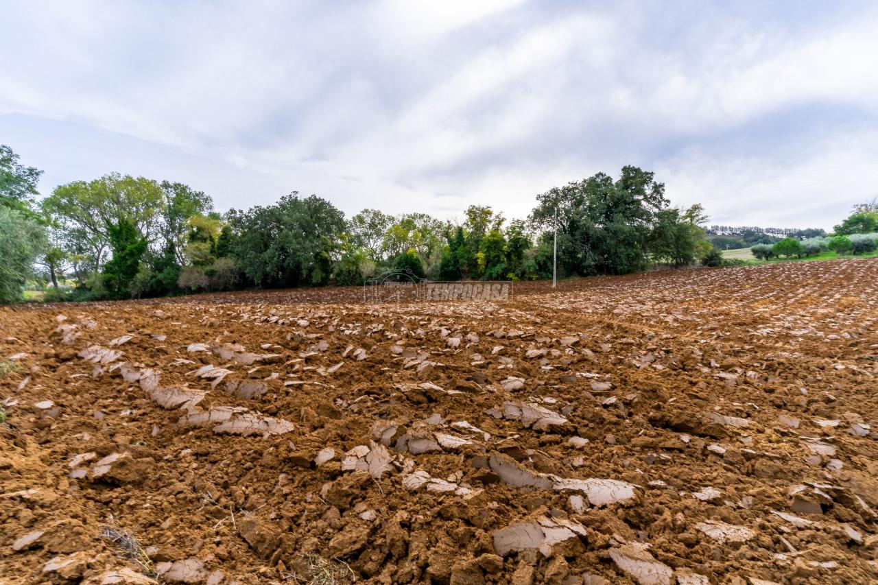 Terreno agricolo, Civitanova Marche Foto-10