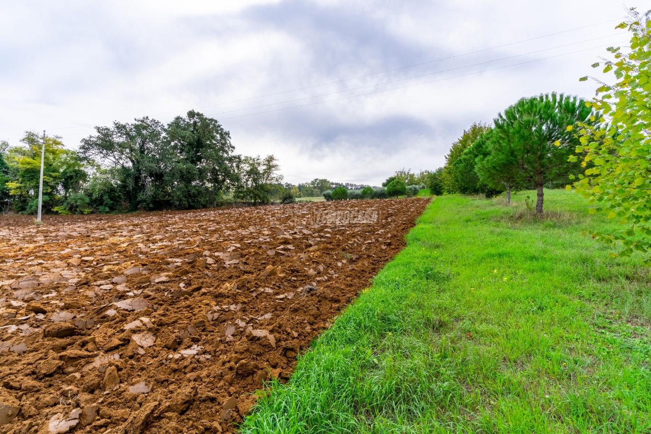 Terreno agricolo, Civitanova Marche Foto-20