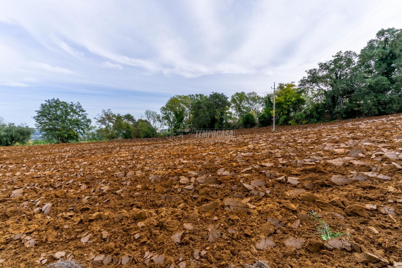 Terreno agricolo, Civitanova Marche Foto-7