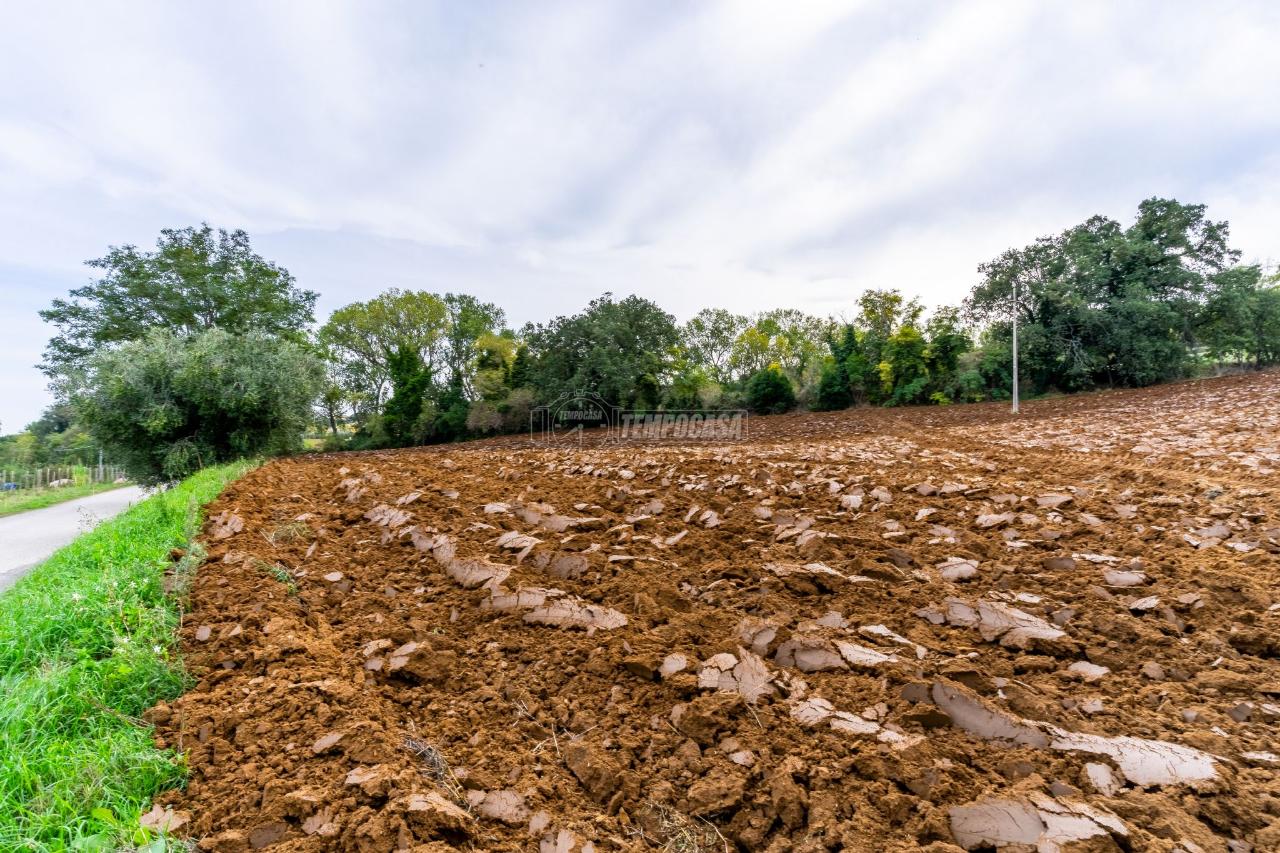 Terreno agricolo, Civitanova Marche Foto-11