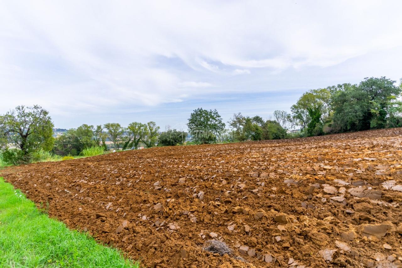 Terreno agricolo, Civitanova Marche Foto-6