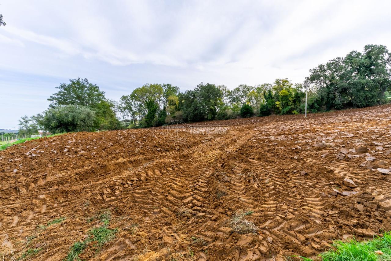 Terreno agricolo, Civitanova Marche Foto-12