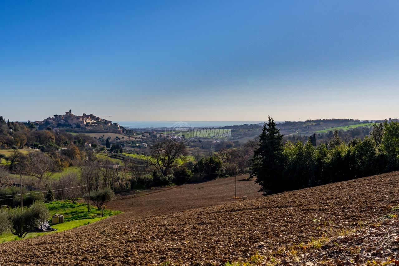 Terreno agricolo in Contrada Mornano, Civitanova Marche