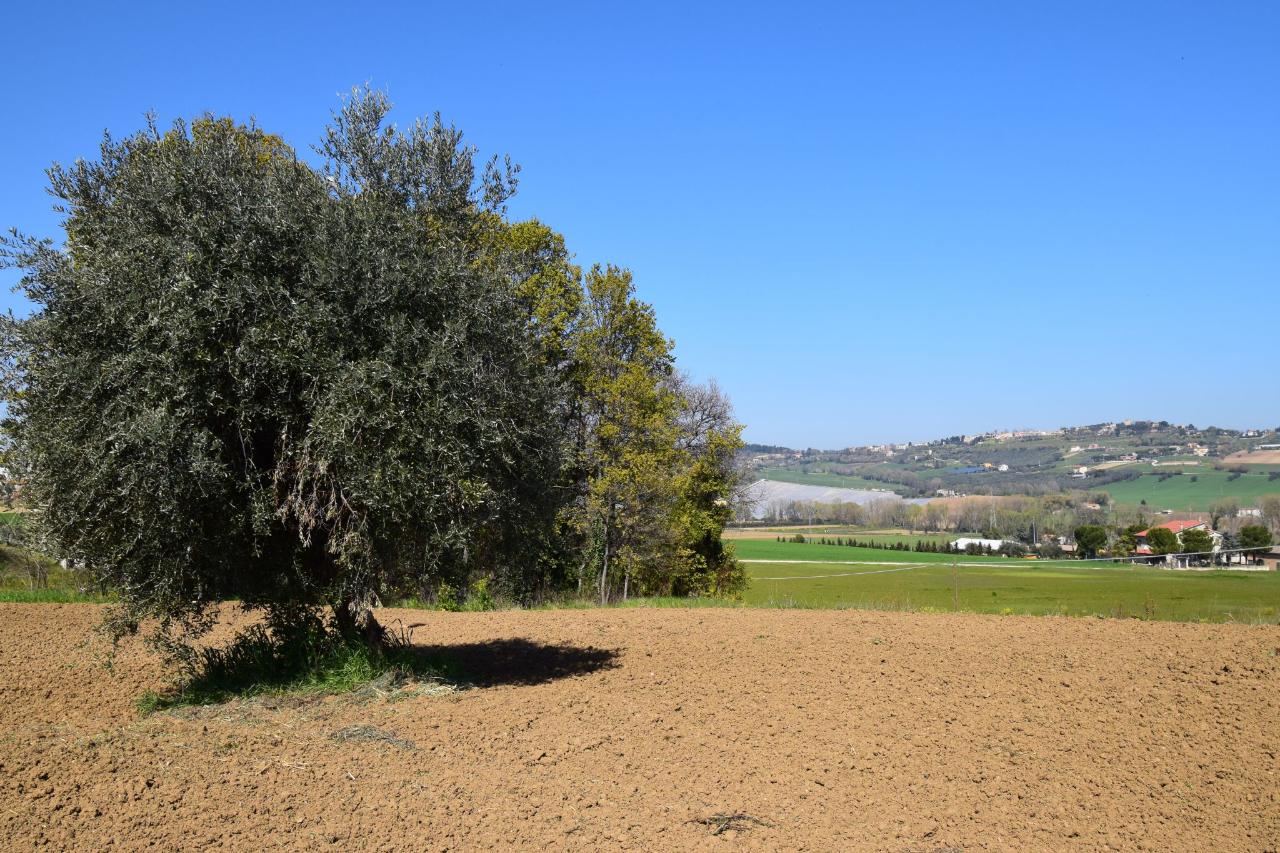 Terreno agricolo in vendita a Civitanova Marche