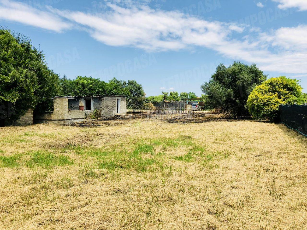 Terreno agricolo in vendita a Ladispoli