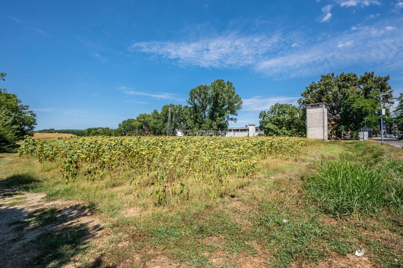 Rustico in vendita a San Cesario Sul Panaro