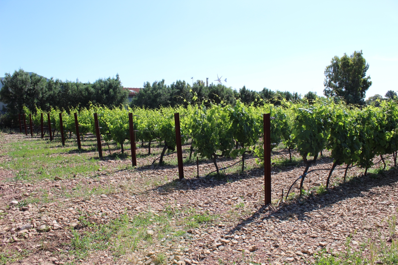 Casa indipendente in vendita a Iglesias