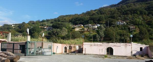 Terreno agricolo in vendita a Sangineto
