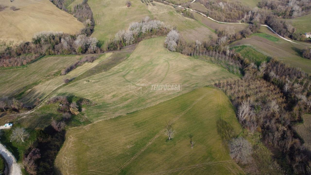 Terreno agricolo, Colmurano
