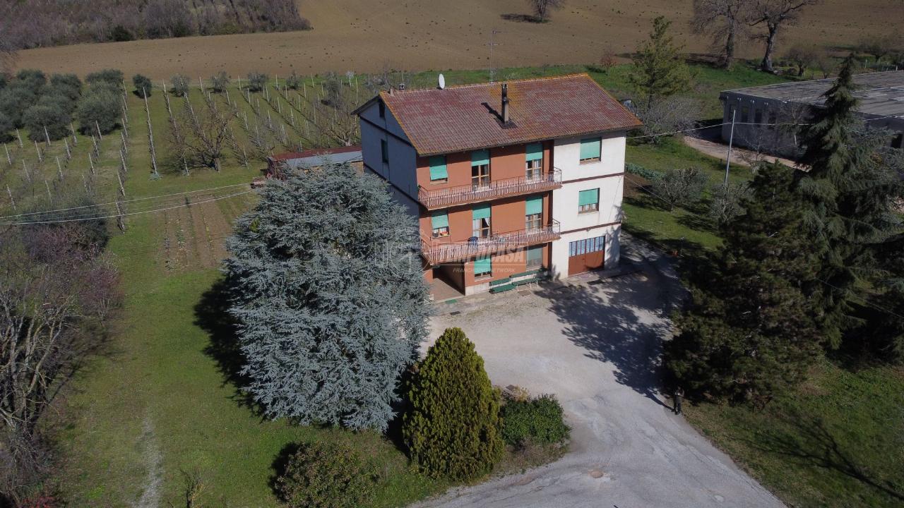 Casa indipendente in vendita a Treia