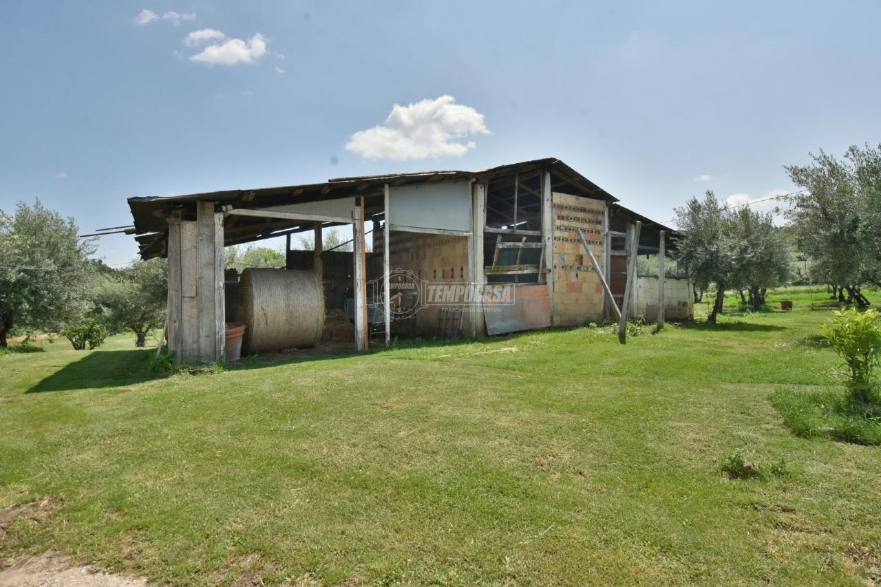 Rustico in vendita a Tolentino