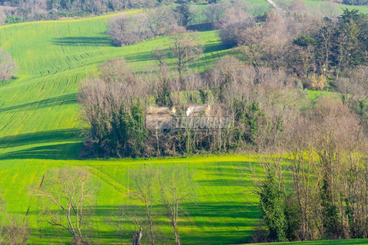 Casa indipendente in vendita a Montecosaro