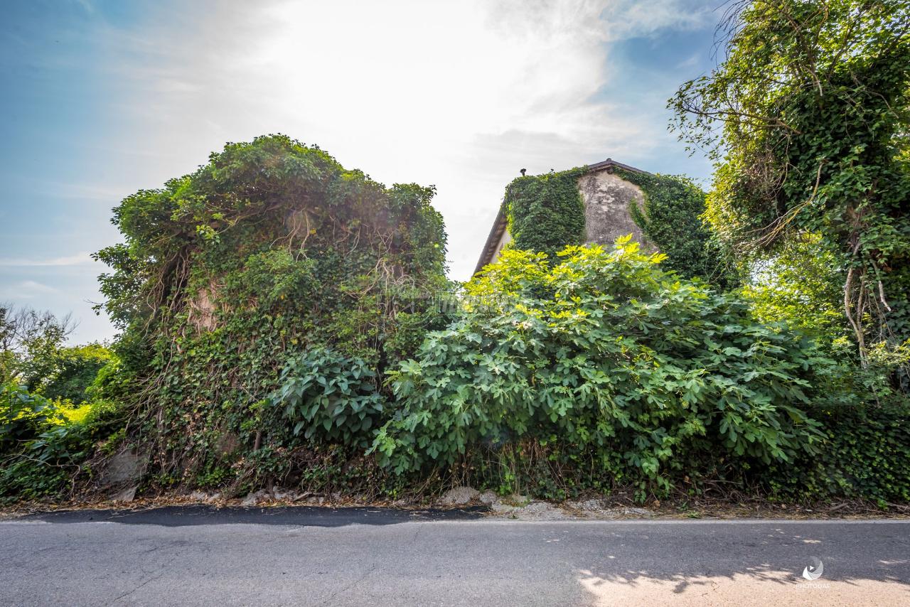 Negozio in vendita a Maranello