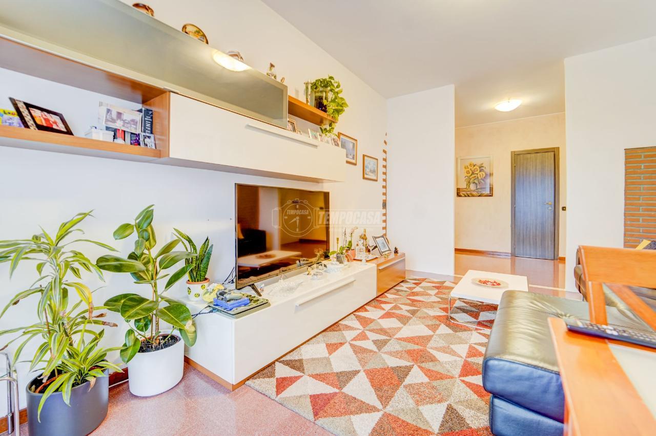 Appartamento in vendita a Cardano Al Campo