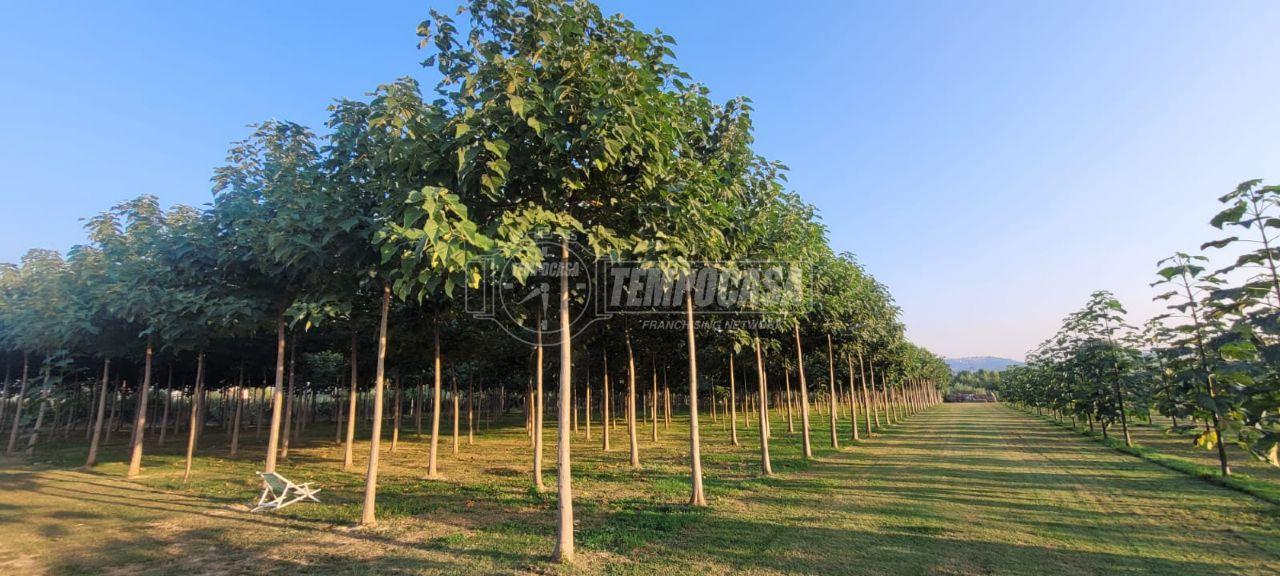 Terreno agricolo in vendita a Corridonia