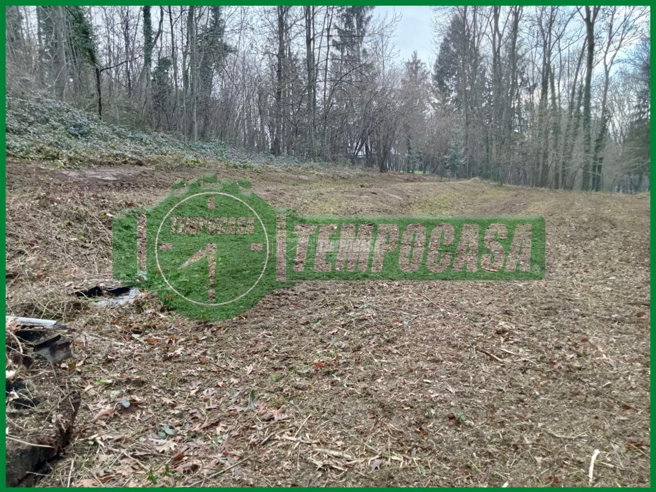 Terreno agricolo in vendita a Gemonio