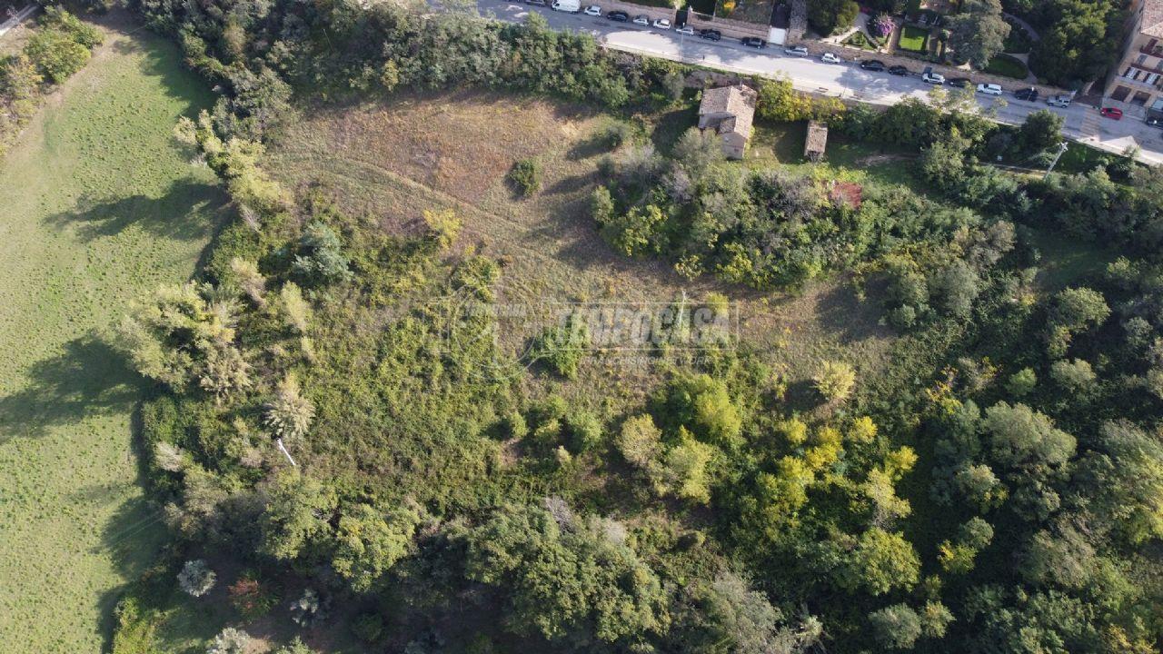 Terreno agricolo, Recanati